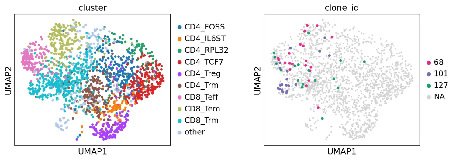 10X单细胞（10X空间转录组）转录组 + VDJ联合分析（12）之scirpy-CSDN博客
