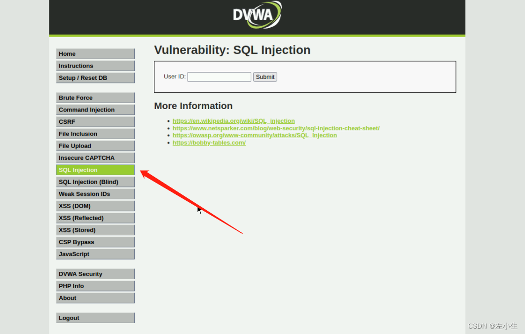 SQL Injection-(SQL注入)_sqlinjector-CSDN博客