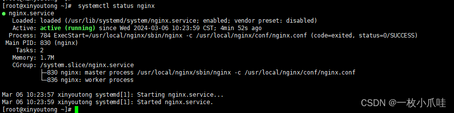 Nginx部署前端项目完整步骤(非容器化部署) Csdn博客
