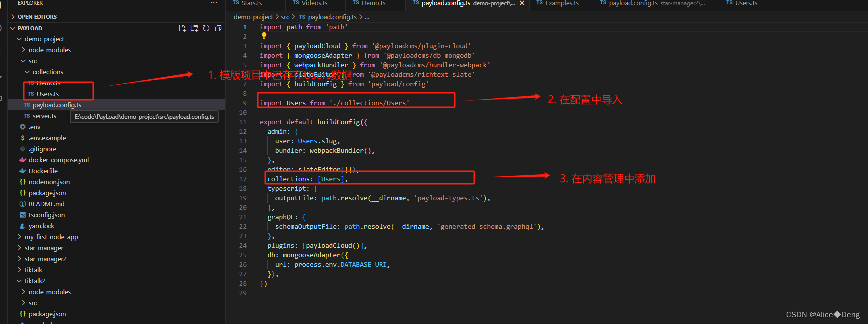 PayLoad项目快速搭建-CSDN博客