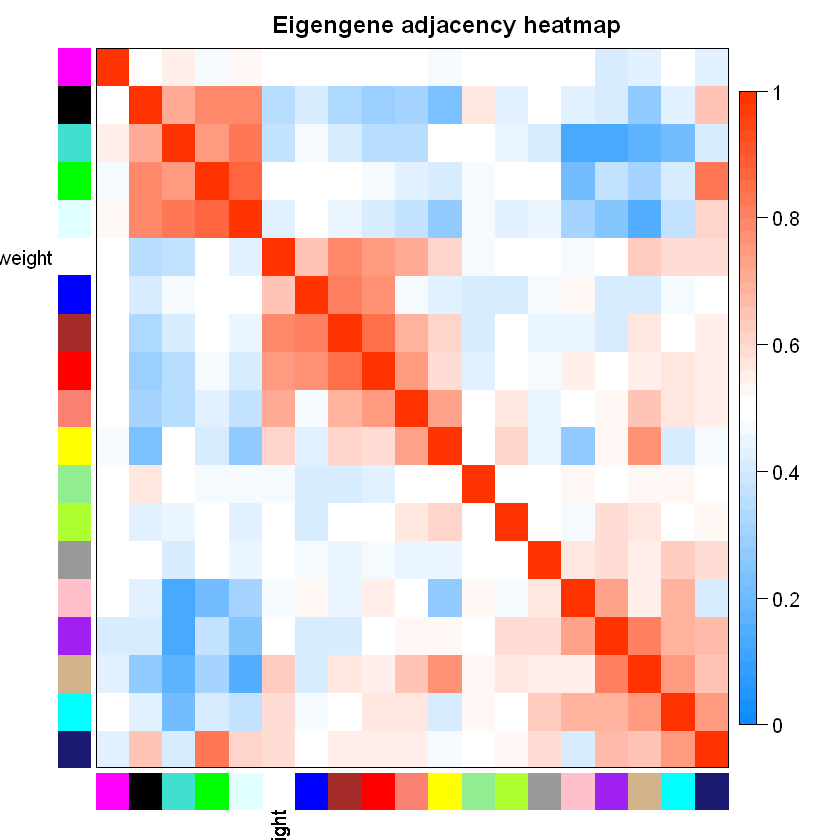 [R语言] WGCNA入门教程_r wgcna-CSDN博客