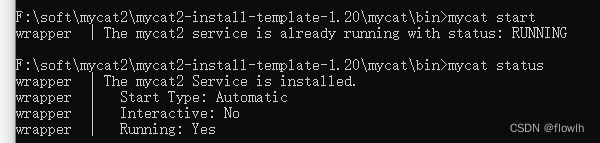 windows 安装mycat2_wrappersimpleapp: unable to locate the class io.my-CSDN博客