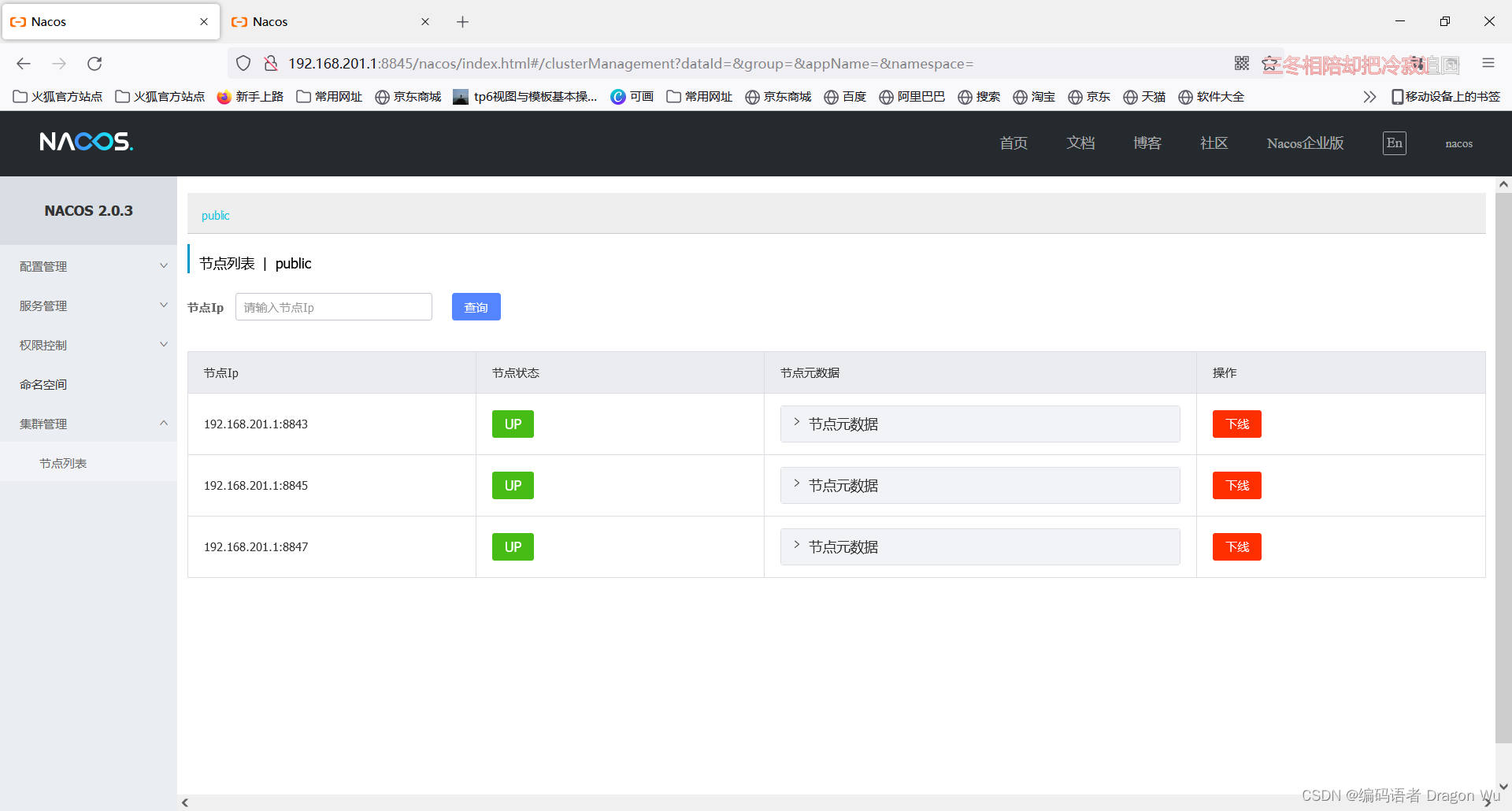 Nacos Nginx 模拟集群搭建案例_nginx代理nacos2.2.1-CSDN博客