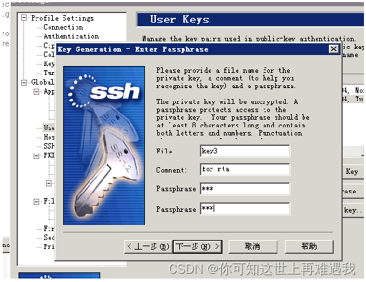 华为数通网络——配置SSH终端服务RSA验证方式示例_ssh server publickey rsa-CSDN博客