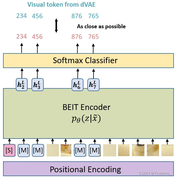 基础论文学习（6）——BeiT-CSDN博客