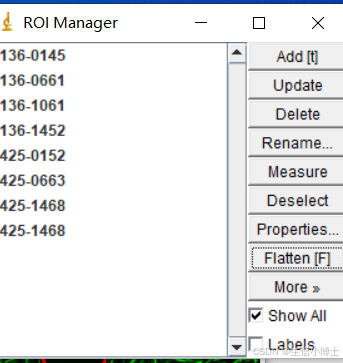 image J 对Western blot 条带进行灰度分析 量化分析_imagej分析wb条带-CSDN博客