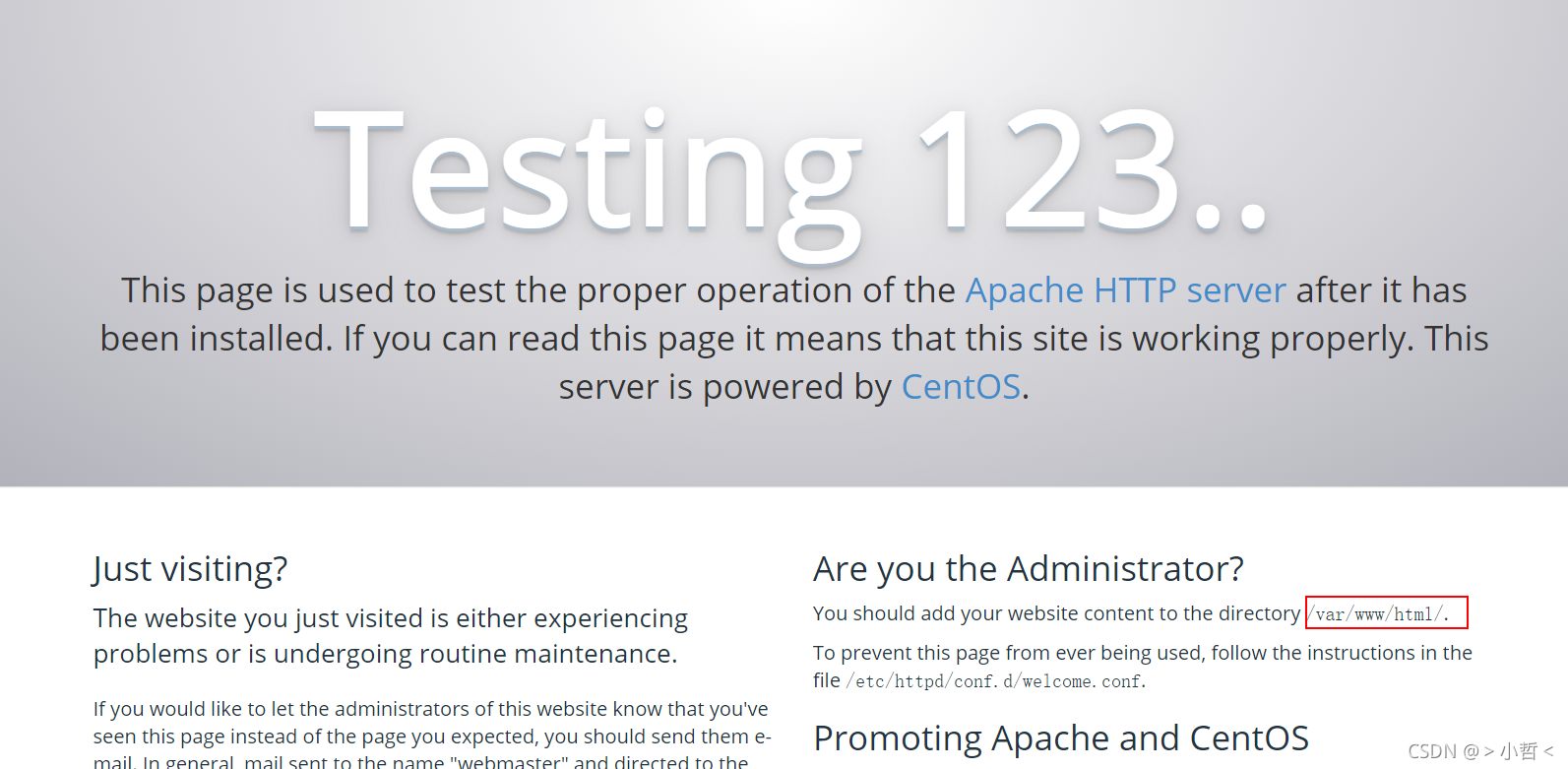 CentOs7详细安装wordpress_centos7 上安装 nginx+apache+wendasns+wordpress-CSDN博客