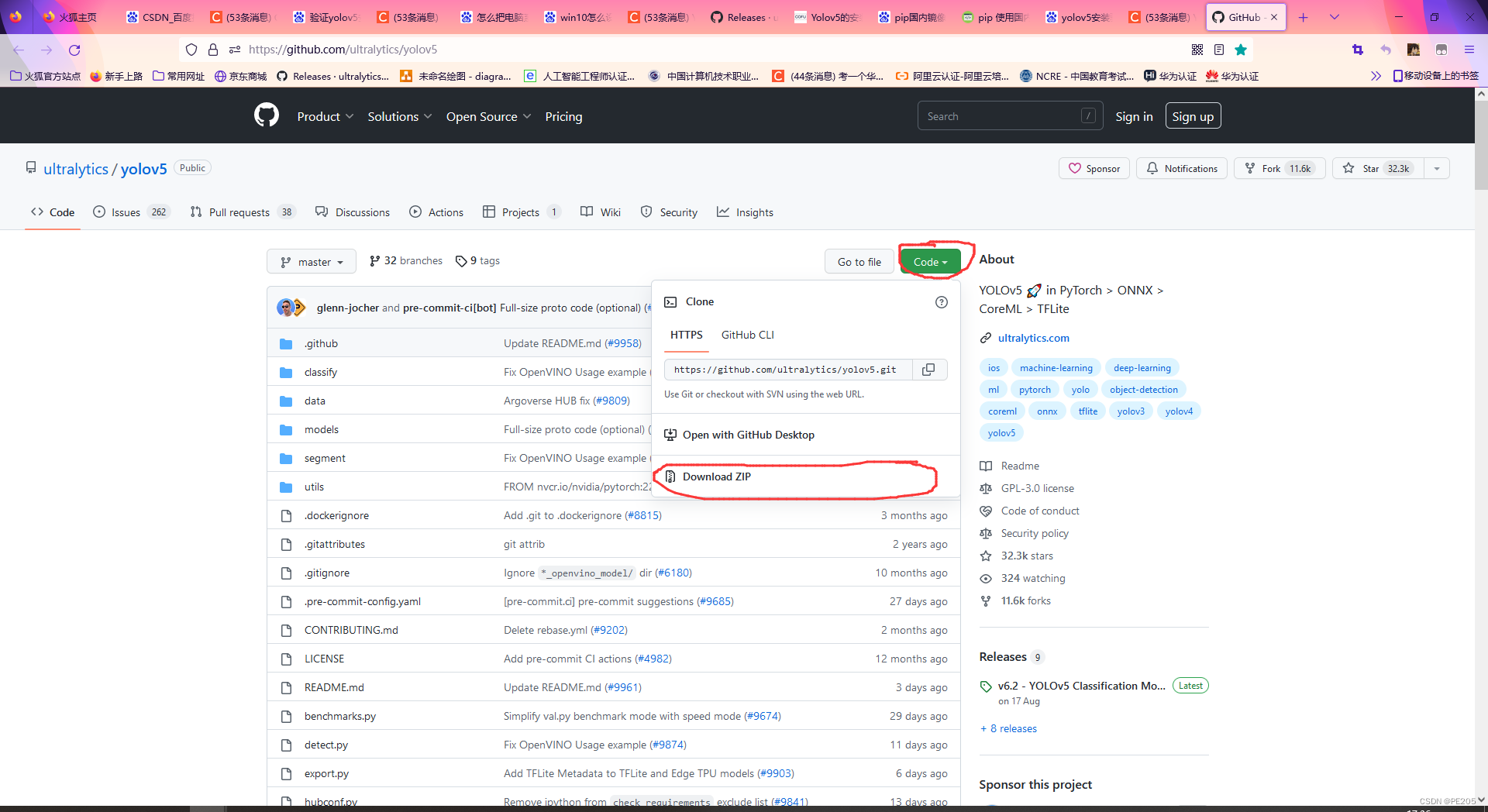 windows安装LOYOV5与验证_loyo安装-CSDN博客