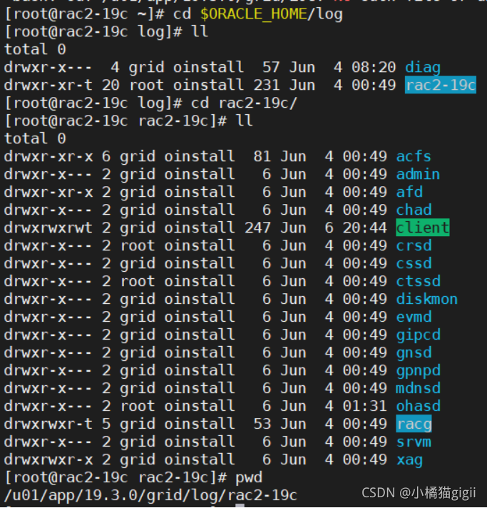oracle集群rac管理命令（三）_crsctl stat res -t-CSDN博客