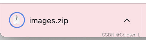 vue引入jszip下载多个图片并压缩下载_instal jszip-CSDN博客