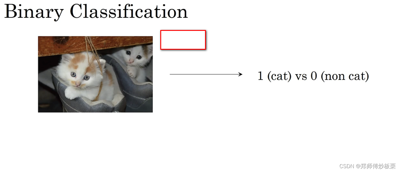 二分分类（binary Classification） Csdn博客 