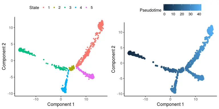 10X单细胞（10X空间转录组）轨迹分析（拟时分析）之基因开关（GeneSwitches）-CSDN博客