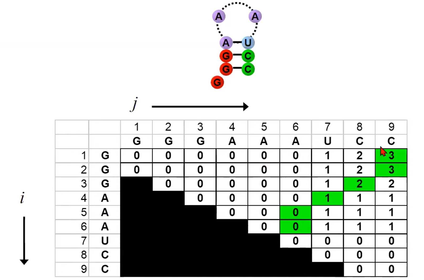 【RNA folding】RNA折叠算法与生物物理约束_rnafold-CSDN博客