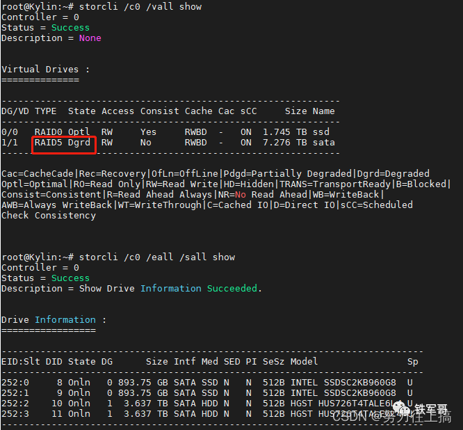 使用storcli/storcli64工具配置RAID-CSDN博客
