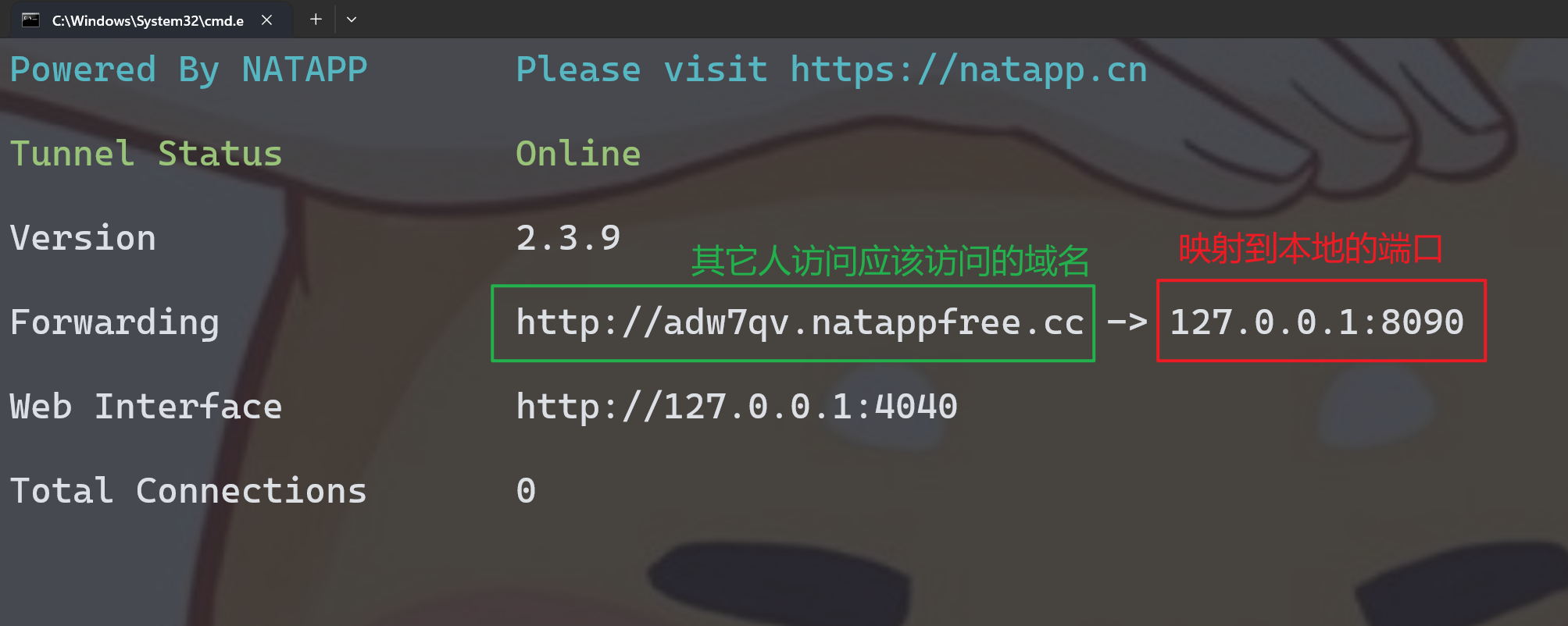 natapp内网穿透-将本地运行的程序/服务器通过公网IP供其它人访问-CSDN博客