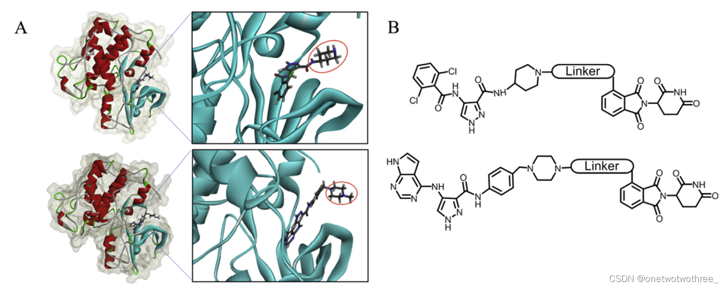 PROTAC可选择性的降解CDK亚型_cdk2 cdk4 protac-CSDN博客