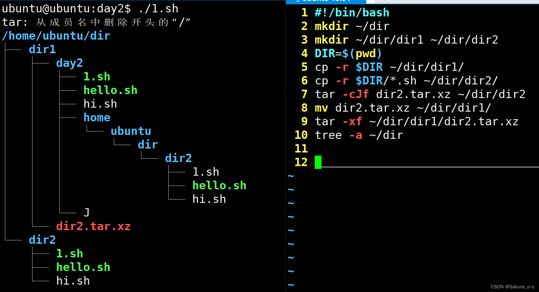 c高级day2-CSDN博客