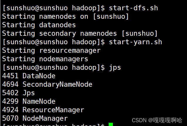 关于hadoop的Cannot set priority of datanode process-CSDN博客