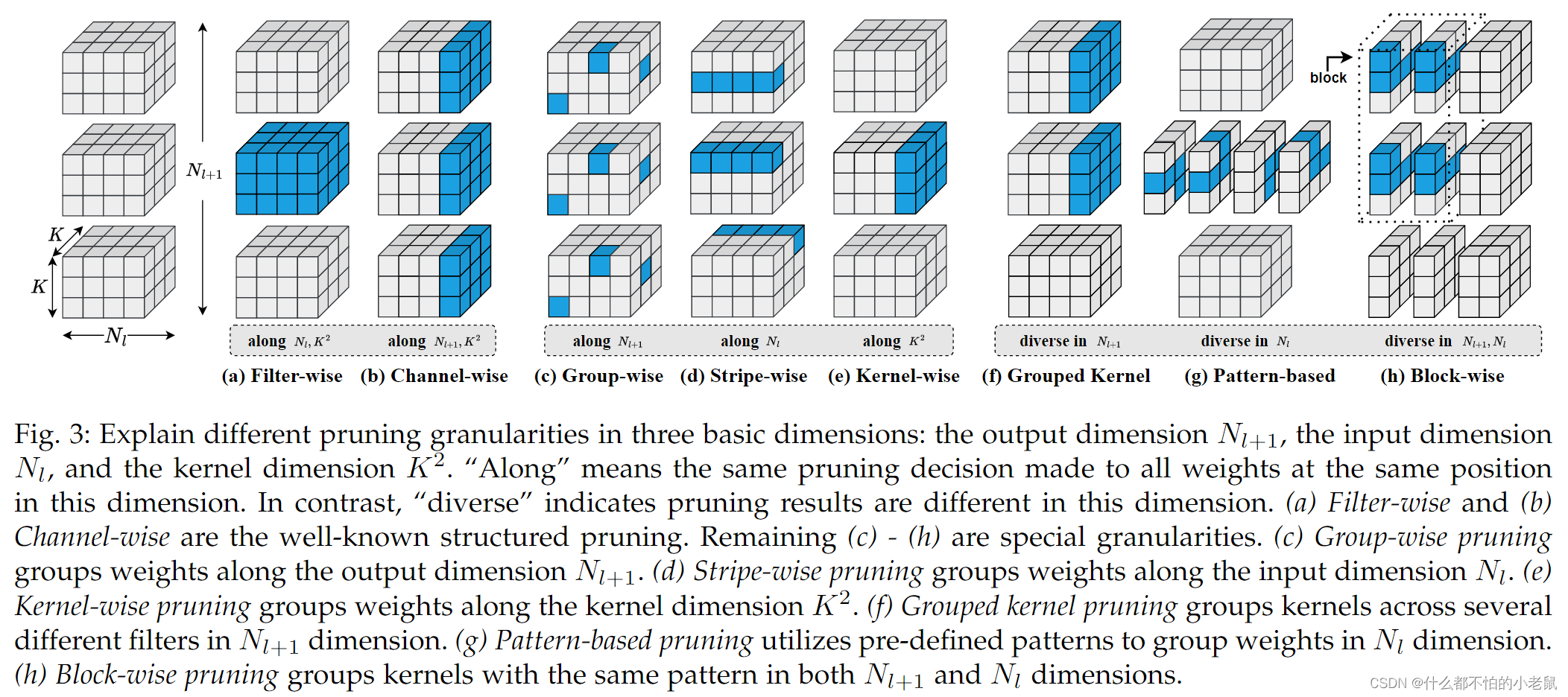 (CVPR2023)Structured Pruning for Deep Convolutional Neural Networks: A survey - 剪枝相关扩展知识 ...