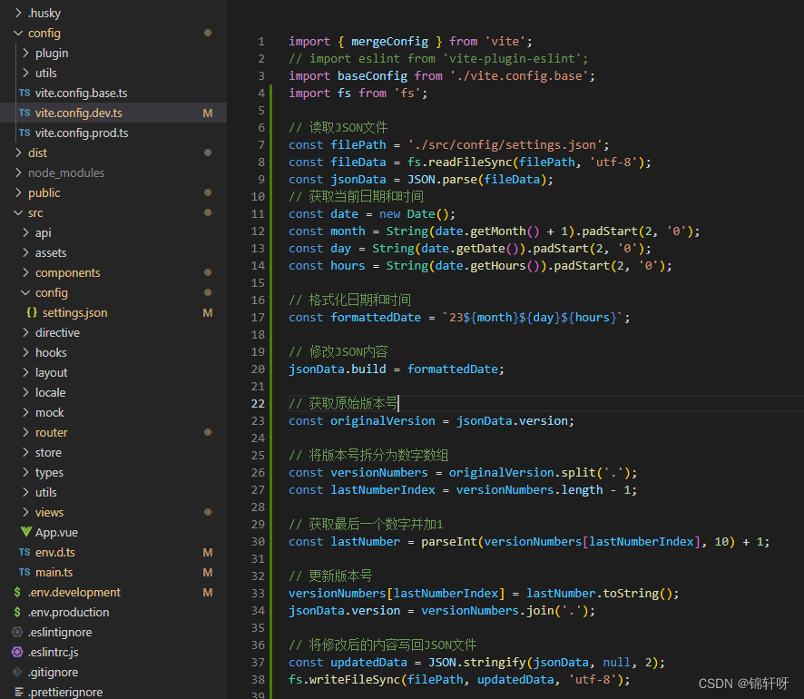 Vite配置：动态更新JSON文件及版本号-CSDN博客