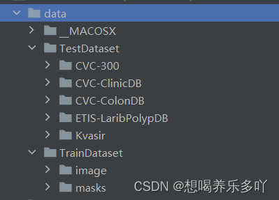PraNet代码复现_pranet 代码复现-CSDN博客