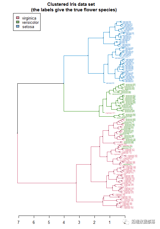 R语言k-means聚类、层次聚类、主成分（PCA）降维及可视化分析鸢尾花iris数据-CSDN博客