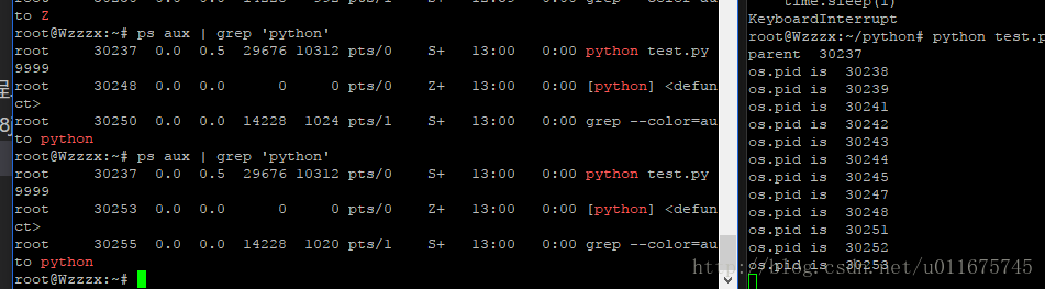 python3 多进程 multiprocessing对僵尸进程的处理_cannot start a process twice-CSDN博客