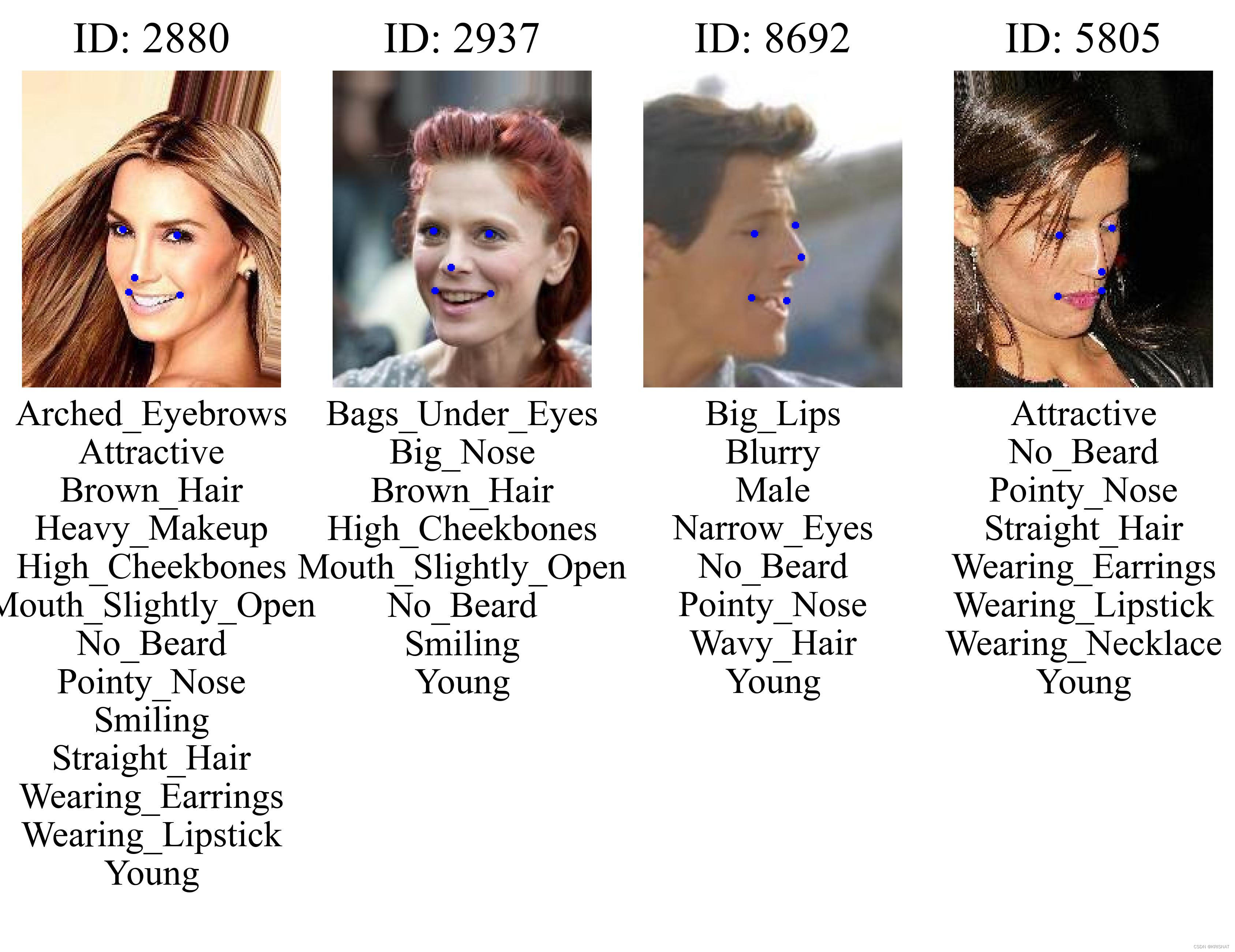 详解CelebA数据集及基于Python实现的下载、读取、解析和可视化-CSDN博客