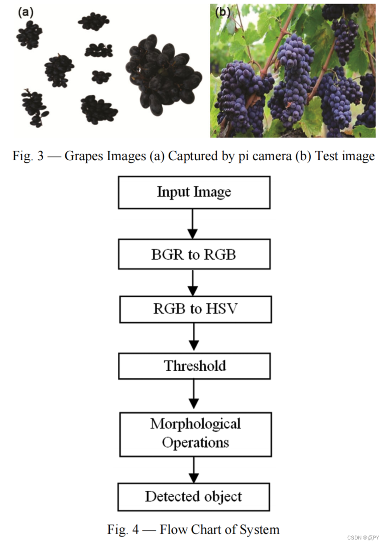 葡萄目标检测相关论文和数据集_葡萄数据集-CSDN博客