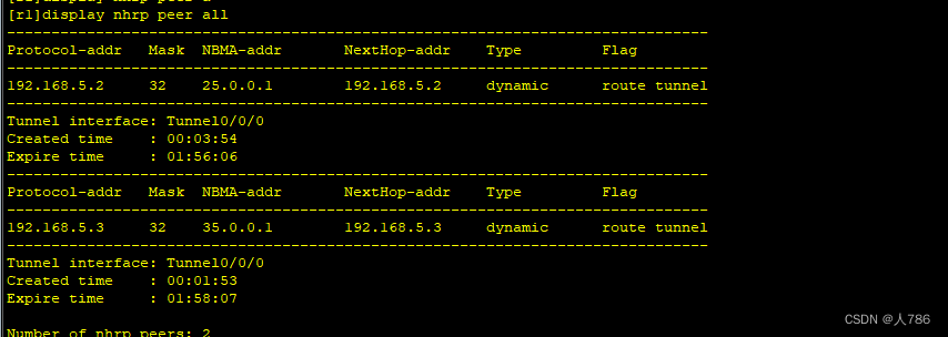 构建网络拓扑：PPP/HDLC配置、认证与MGRE/NAT实现私网可达,-CSDN博客