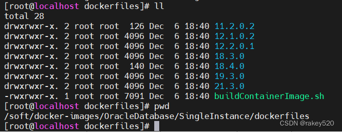使用Docker部署和验证Oracle19c容器教程-CSDN博客