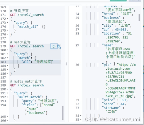 DSL查询语法和RestClient查询文档-CSDN博客