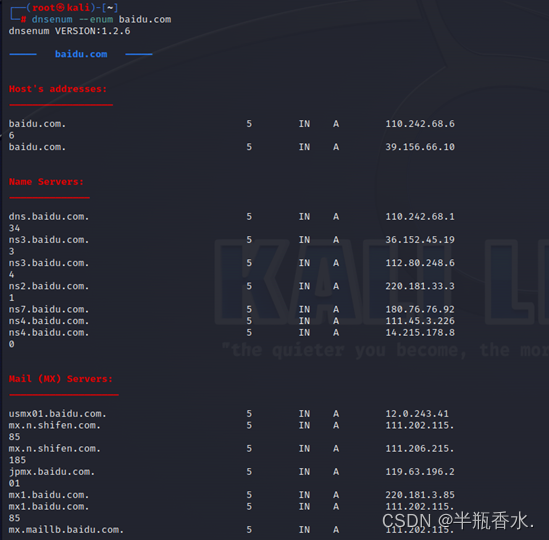 DNS枚举工具DNSenum-CSDN博客