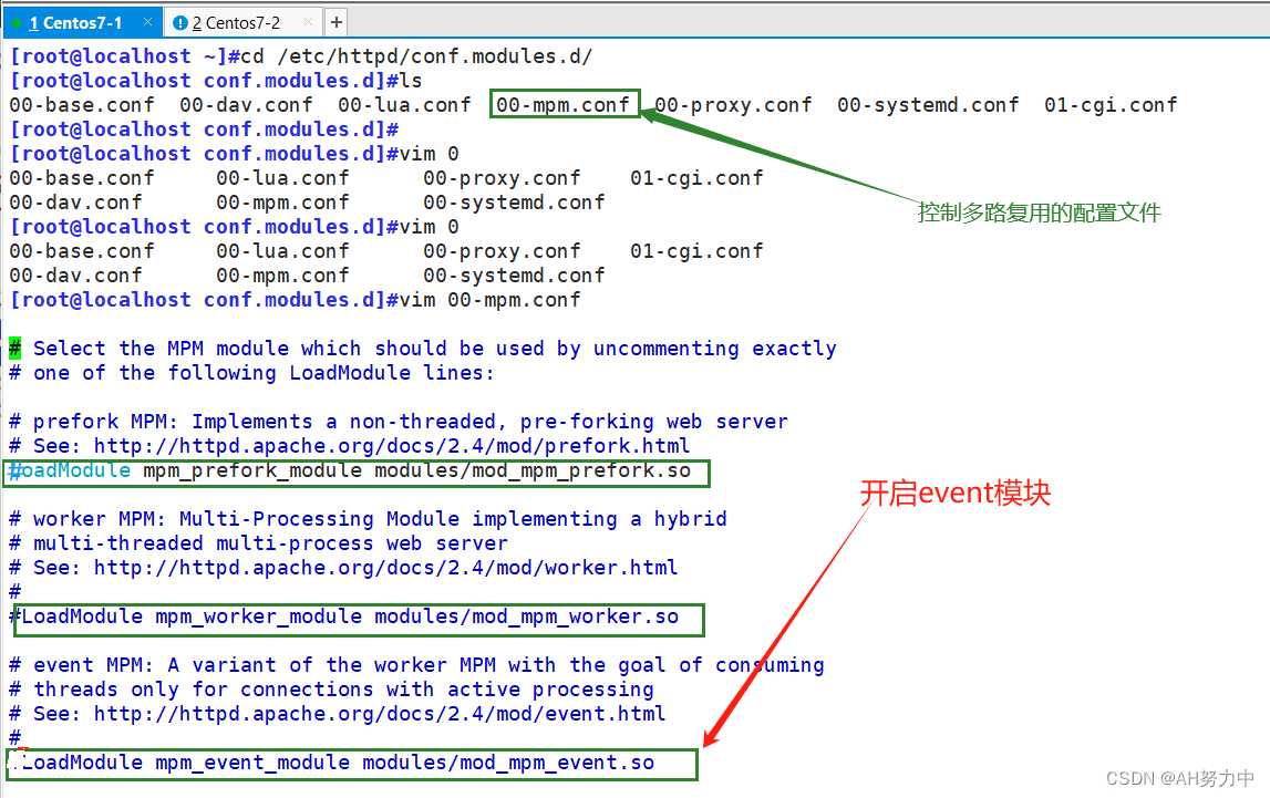 WEB基础及http协议(Apache)_web 服务的组件,apache-CSDN博客