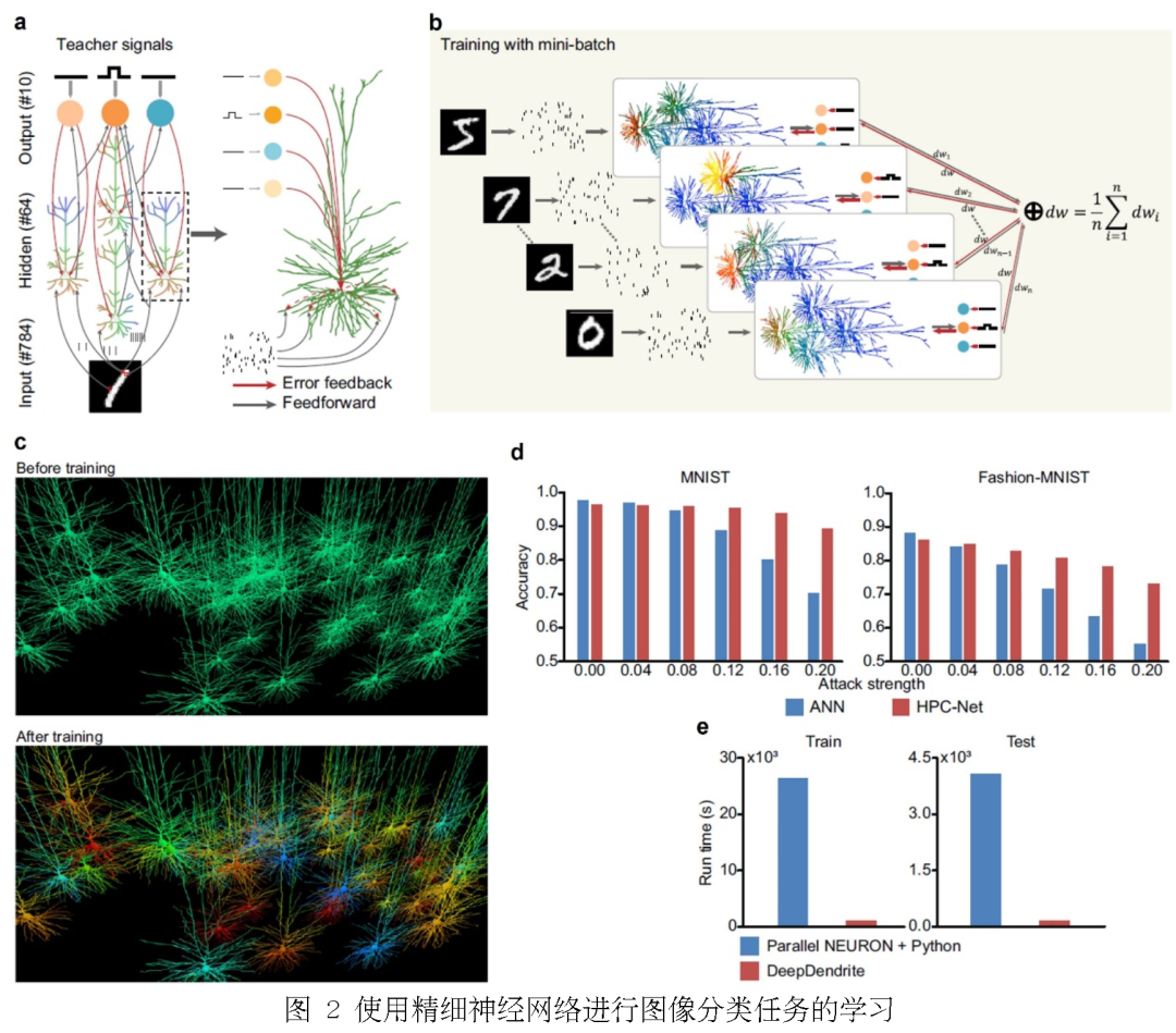 北京大学黄铁军、杜凯团队在《自然·通讯》发表生物神经网络精细仿真算法并证明理论最优！...-CSDN博客