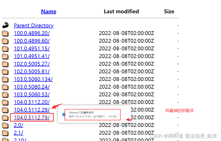 Python运行selenium.common.exceptions.SessionNotCreatedException: Message: session not crea... 报错 ...