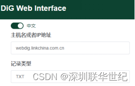 在线dig命令：DNS查询工具详解-CSDN博客