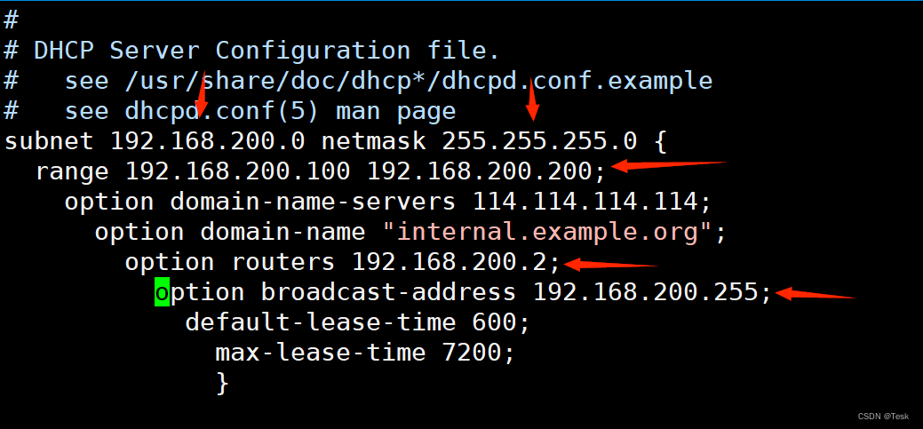 DHCP服务器的搭建及主文件配置_怎样部署dhcp主备服务器-CSDN博客
