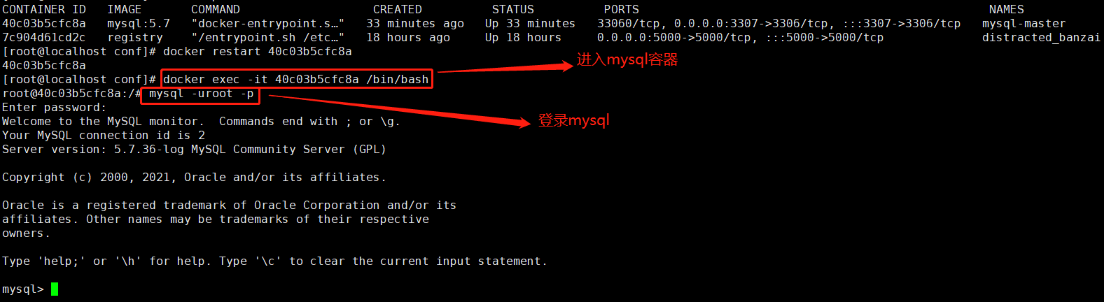 Docker下搭建MySql主从复制_博客园 疯子丶pony-CSDN博客