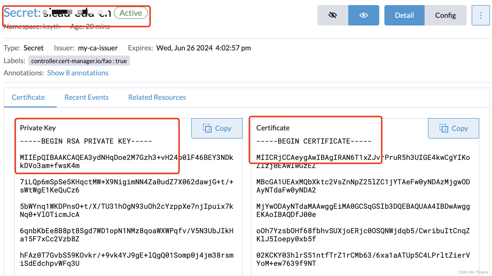 记录一次使用cert-manager-颁发CA证书_selfsigned-issuer-CSDN博客