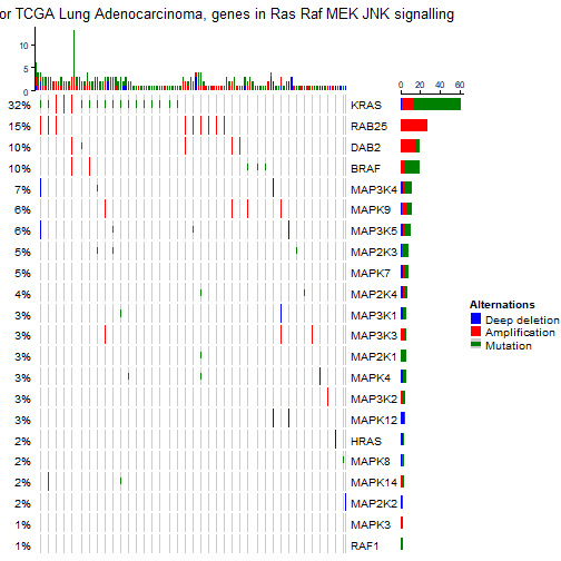 超详细的R语言热图之complexheatmap系列（5）_r complexheatmap 临床特征-CSDN博客