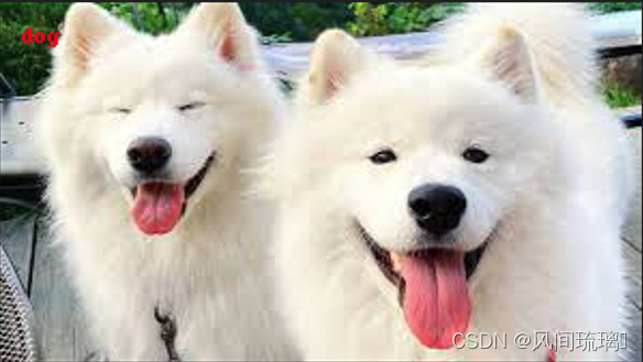 Pytorch之LeNet-5图像分类_lenet5分类-CSDN博客