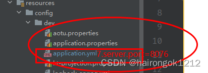 一文带你揭密springboot配置文件的加载顺序_springboot配置文件加载顺序详解-CSDN博客