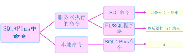Oracle学习03——常用的sqlplus命令_sqlplus set-CSDN博客