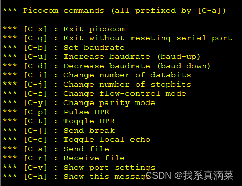 开发板上使用Picocom进行串口调试-CSDN博客