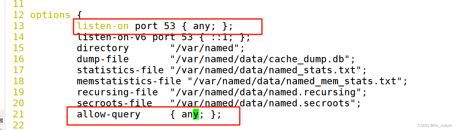【Linux网络】搭建内外网的网关服务器，实现DNS分离解析与DHCP自动分配_linux 网关服务器-CSDN博客