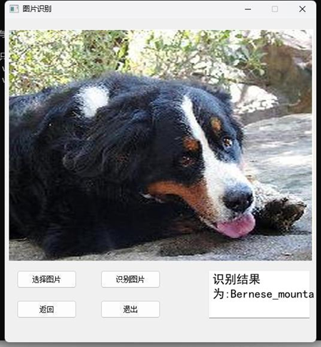 基于python_CNN深度学习的狗狗种类识别-含数据集+pyqt界面_python小狗识别-CSDN博客