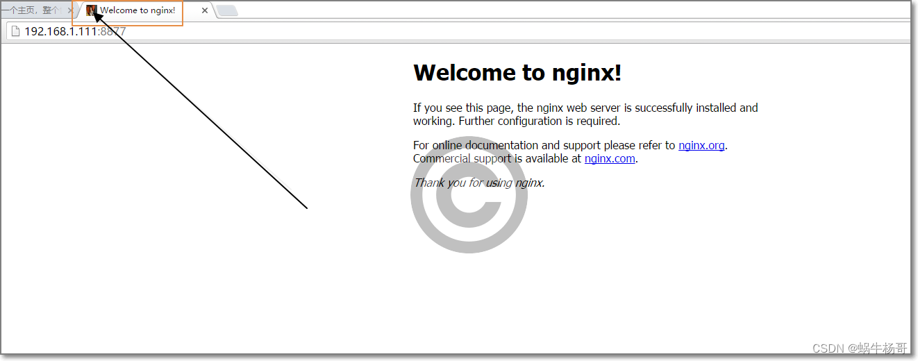 Nginx安装及Minio集群反向动态代理配置(二)_nginx代理minio-CSDN博客
