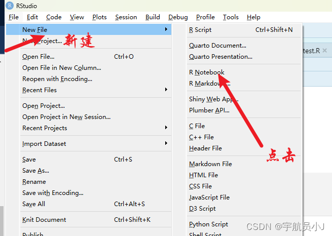 RStudio中R notebook的使用-CSDN博客