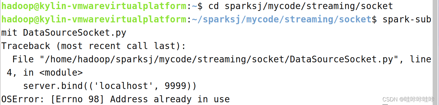 端口被其他进程占用：OSError: [Errno 98] Address already in use-CSDN博客